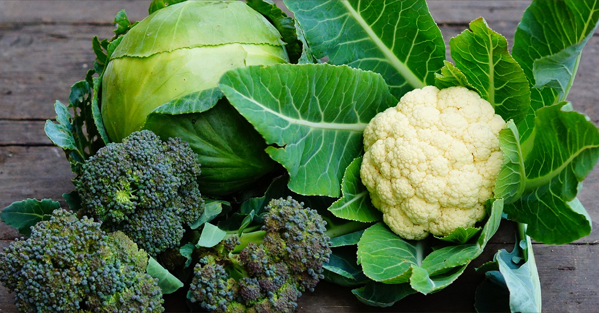 Frischen Broccoli online bestellen - bei Farmy.ch