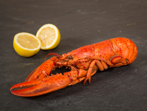 Commandez en ligne du homard de première qualité - sur farmy.ch