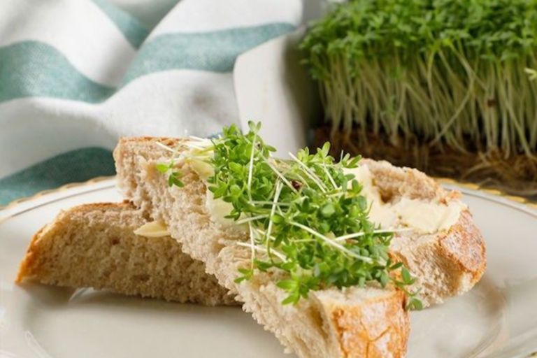 Kresse online bestellen - bei Farmy.ch