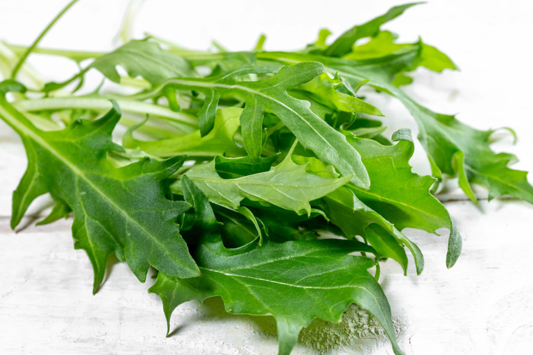 difference between arugula and rucola